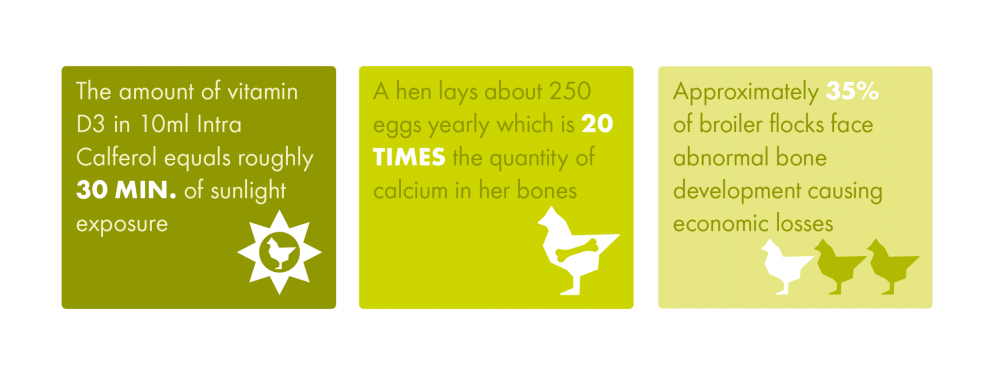 Intra Calferol aves / pollo